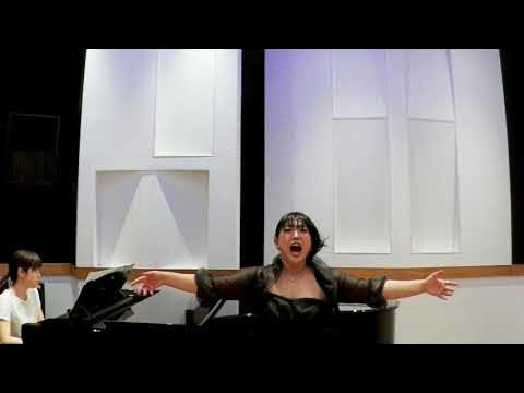 Tacea la notte placida (G.Verdi "Il Trovatore") - YouTube