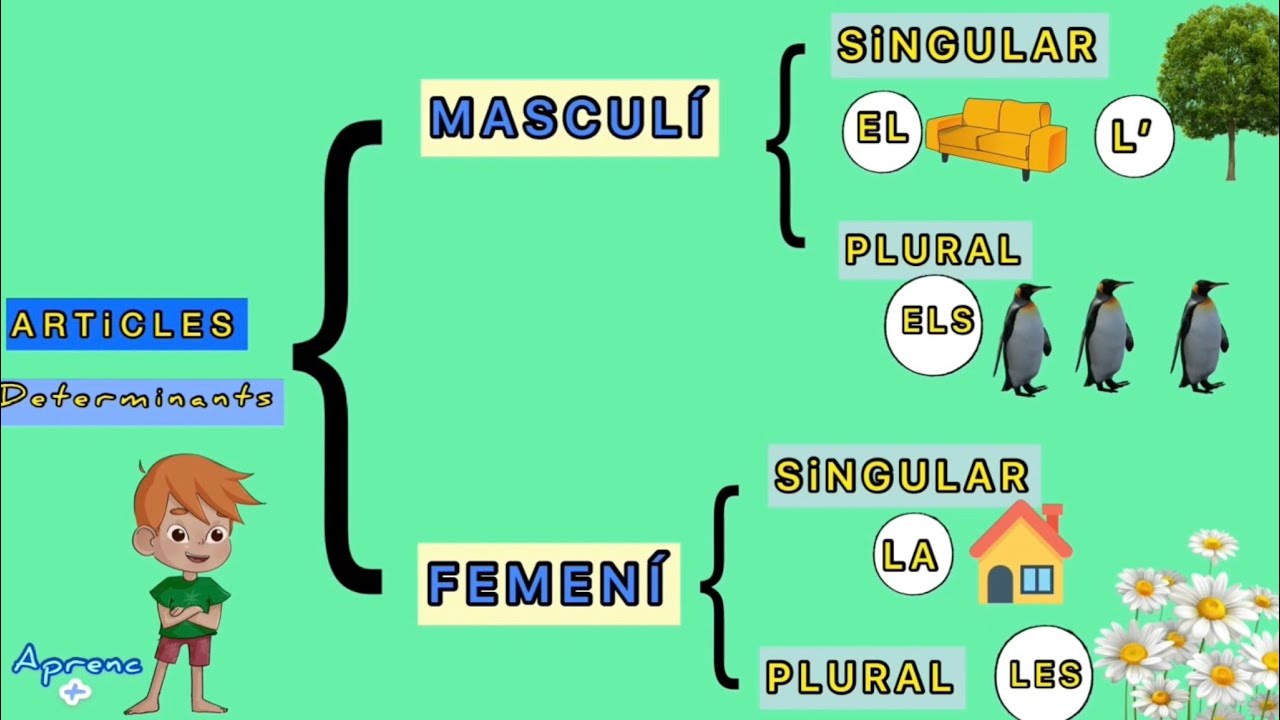 Els ARTICLES Gram tica V deos Educatius YouTube els-articles-gram-tica-v-deos-educatius-youtube
