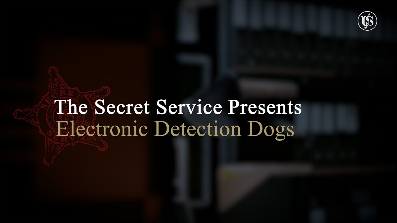 These Dogs Can Hunt…for Electronics - Inside the Electronic Detection ...