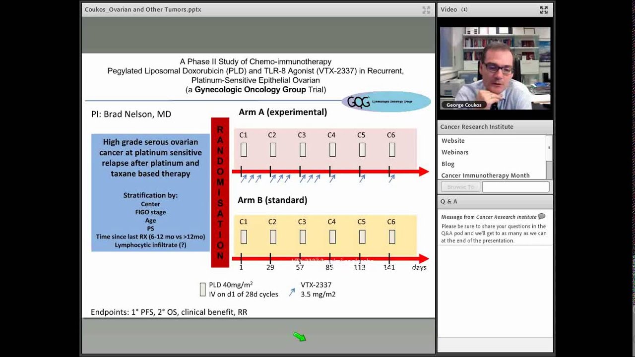 Developing Effective Immunotherapies for Ovarian Cancer and Other ...