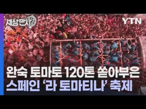 [세상만사] 토마토 120톤 쏟아부은 스페인 '라 토마티나 축제' / YTN 사이언스 - YouTube