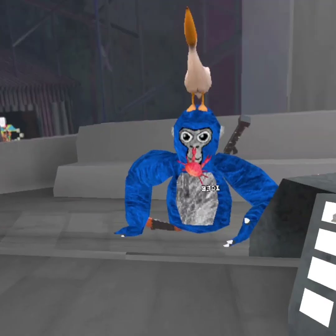 Lil bro has to pay rent #summergorillatag #gorillatag #vr # ...