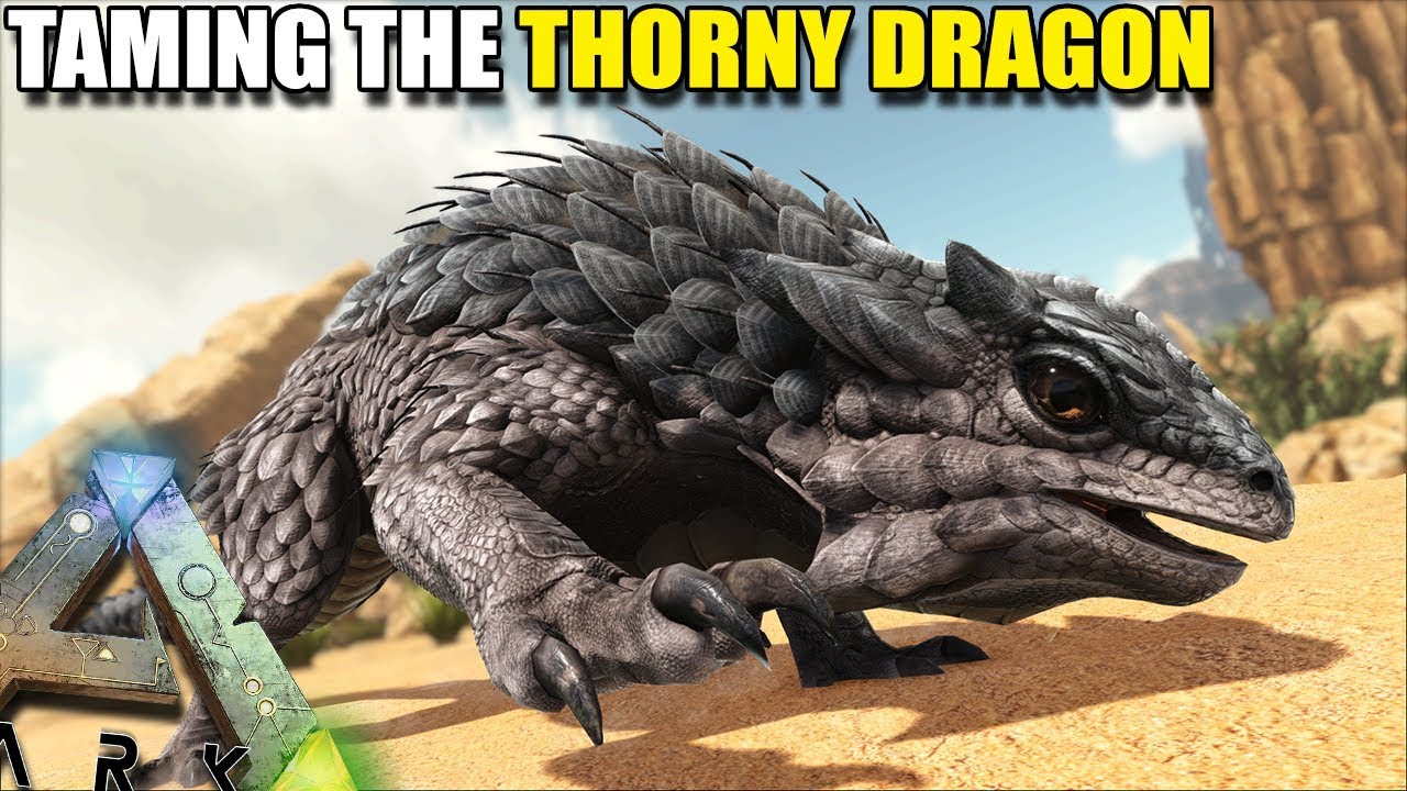 TAMING THE THORNY DRAGON | ARK SURVIVAL EVOLVED EP4 - YouTube