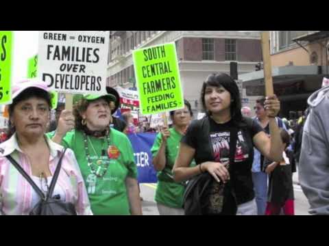 Justicia Tierra Y Libertad Large - YouTube