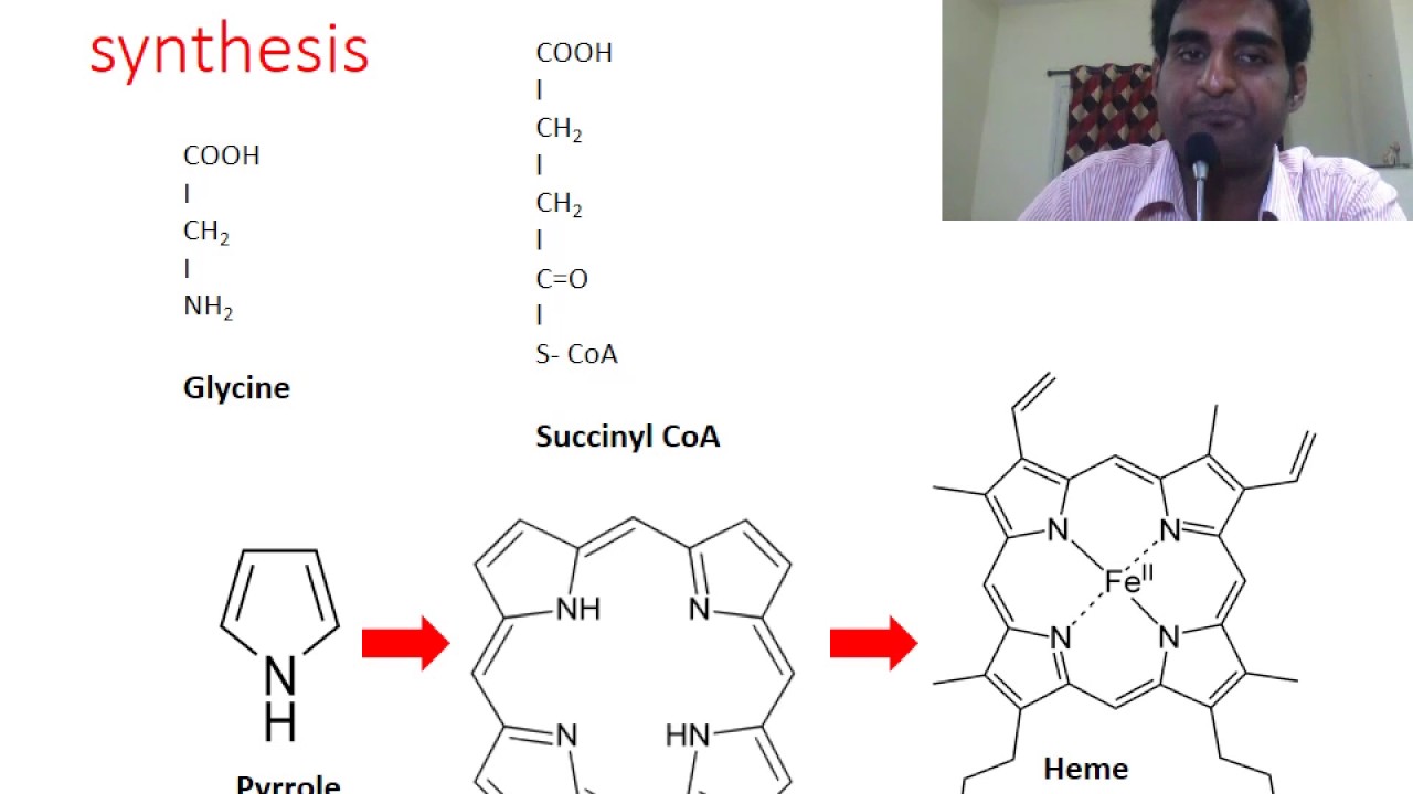 3 Minute Lesson Biochemistry Heme Synthesis Youtube