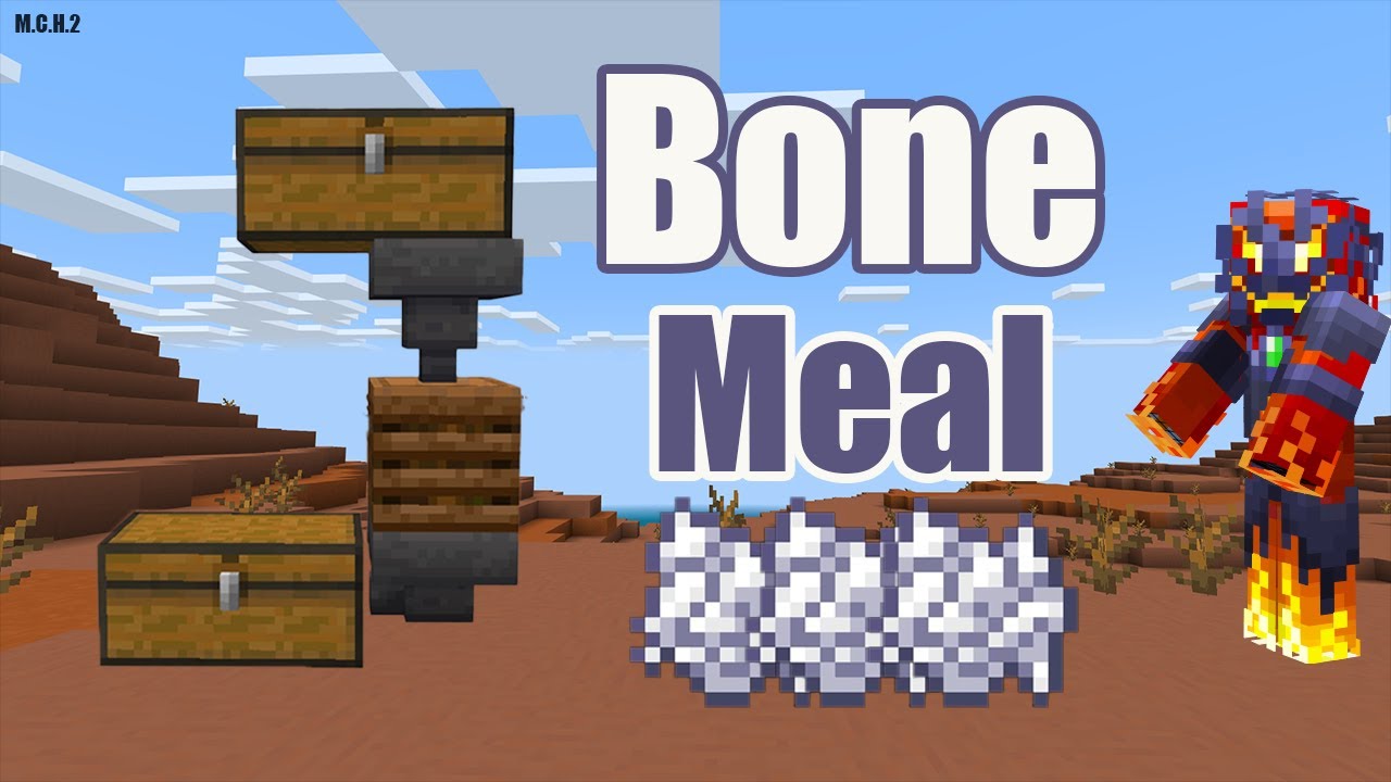 How to make a BONE MEAL FARM in Minecraft! - YouTube