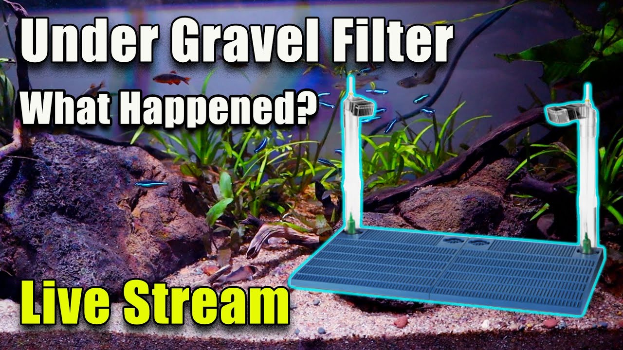 Underground Filter Fish Aquarium Under Gravel Filter By StefR