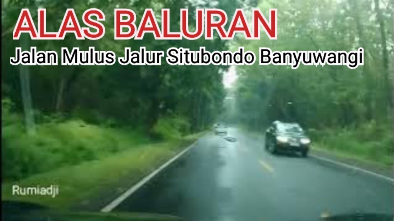 JALUR MULUS - ALAS BALURAN SITUBONDO BATAS BANYUWANGI - YouTube