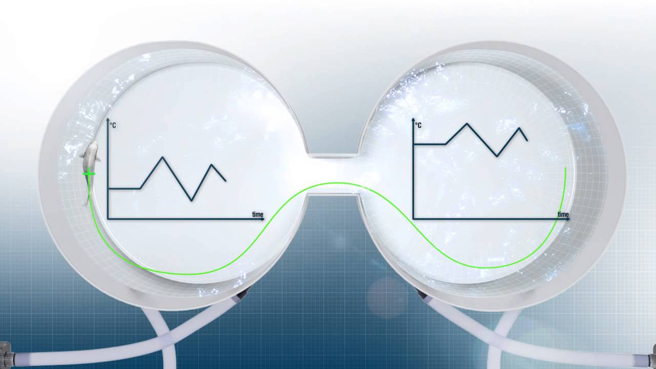 Loligo Systems ShuttleBox - YouTube