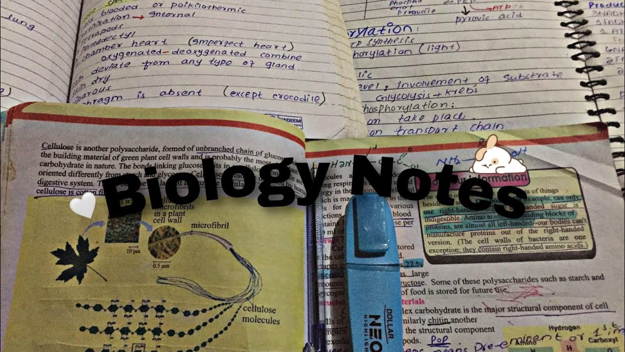 BIOLOGY NOTES / handmade / mdcat / shortlists/ 🇵🇰 / motivation ...