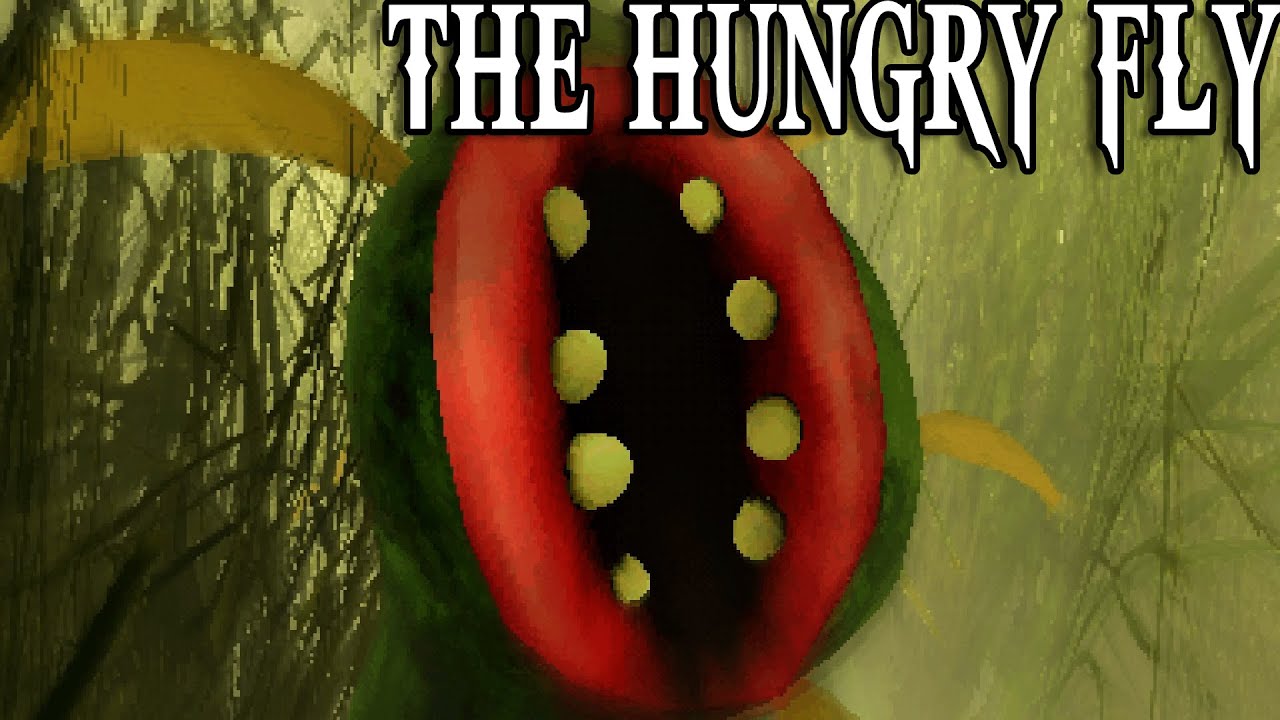 Eating Memories | The Hungry Fly - YouTube