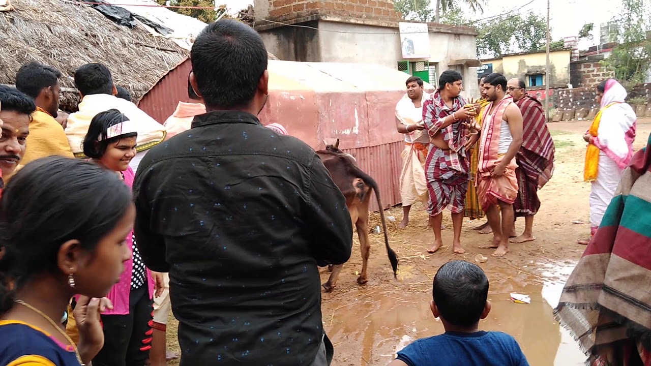 Go Pooja 09/02/2020 - YouTube