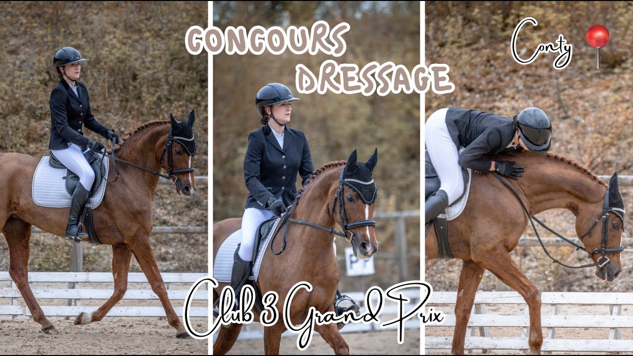 CONCOURS : Dressage Club 3 Grand Prix - YouTube