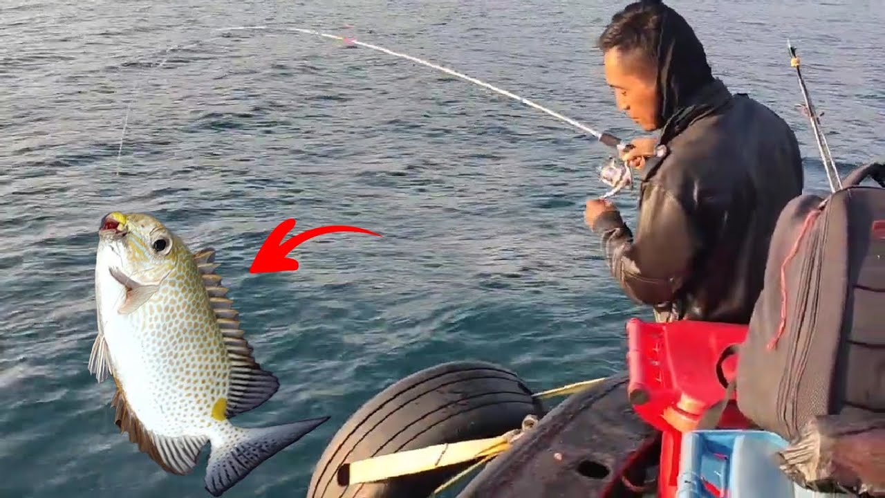 FUN FISHING IN THE MIDDLE OF THE SEA ⛵ VERY HAPPY GETTING VERY BIG FISH ...