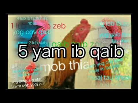 5 yam ib qaib ntawm tu qaib - YouTube