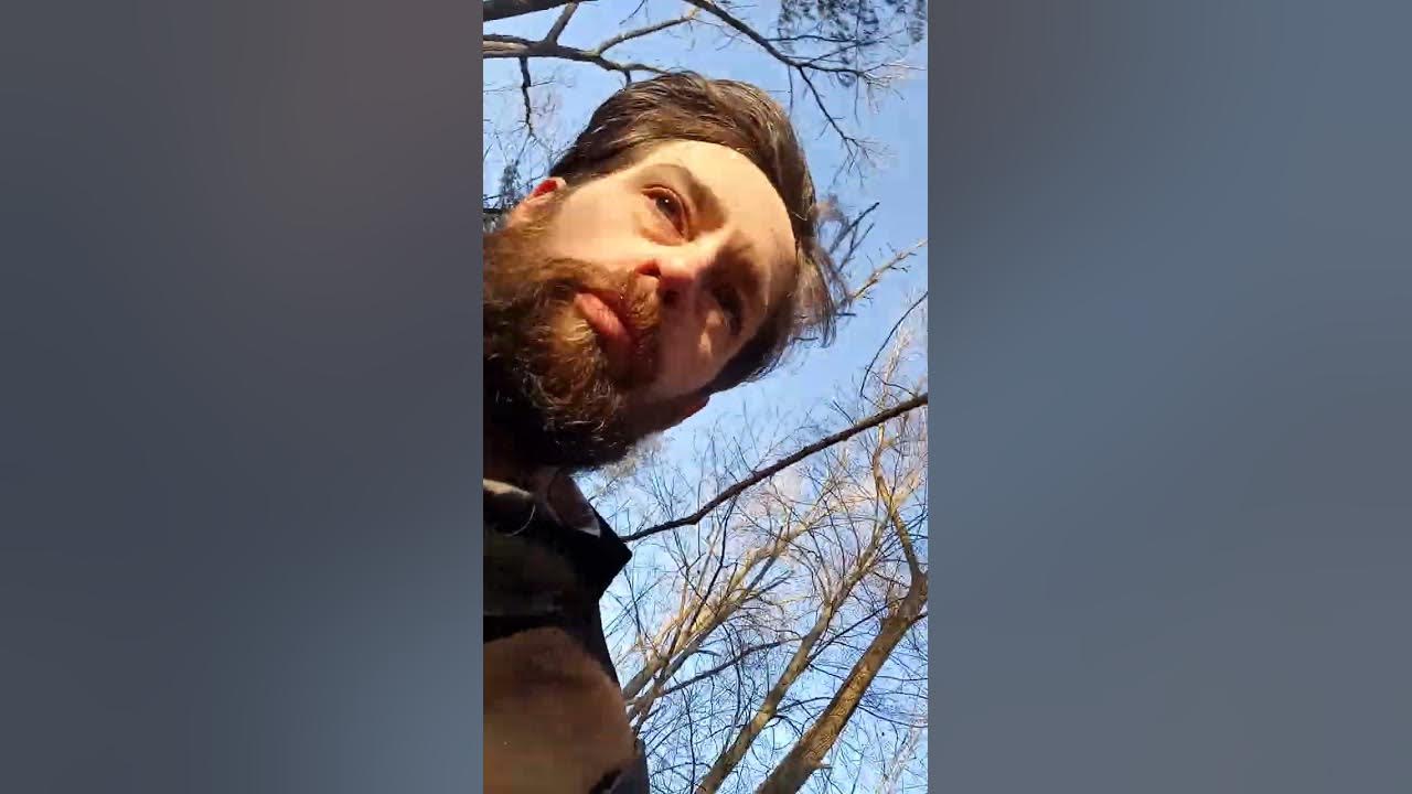 Hiking time, New Forest, singing in the woods. - YouTube