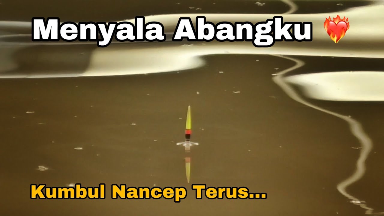 Juara Induk Terbanyak Pakai Umpan Simpel Dadakan | Mancing Ikan Mas Galapung - YouTube