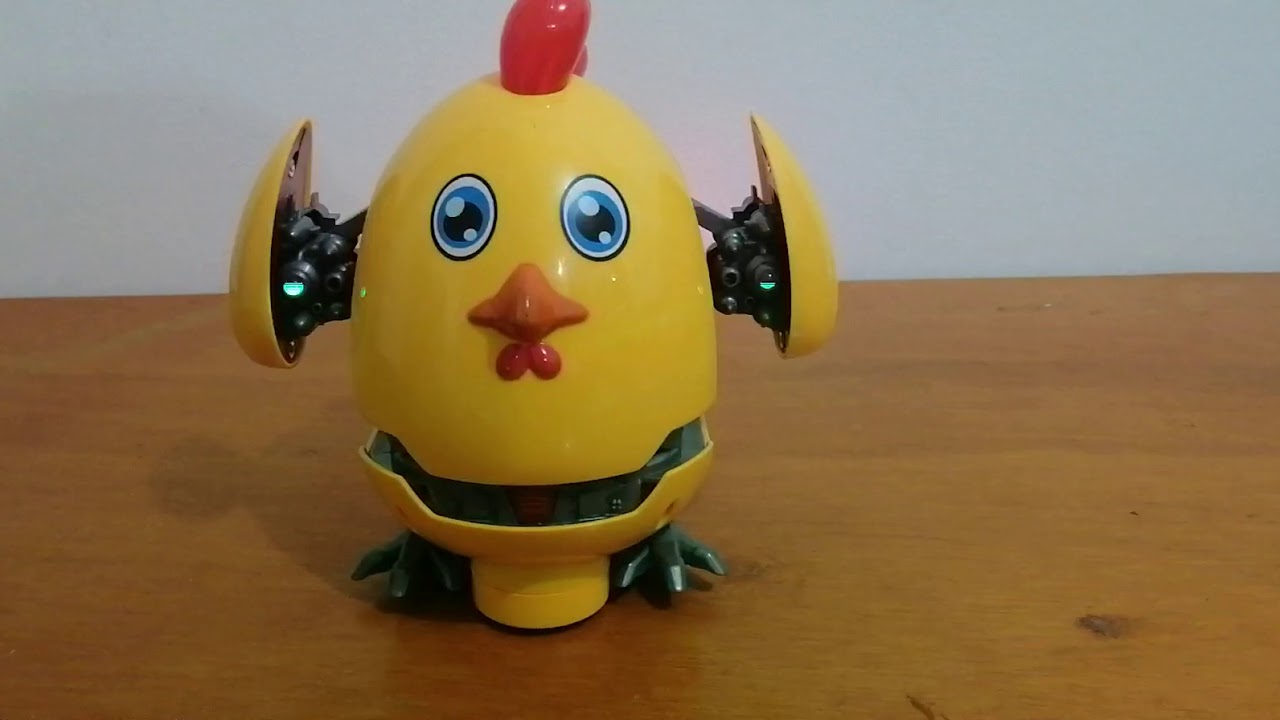 Pollito Terminator chicken fight - YouTube