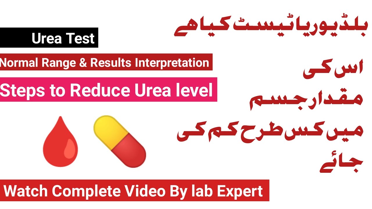 Blood Urea Test What Is Blood Urea kideny Function Test pathologylab blood-urea-test-what-is-blood-urea-kideny-function-test-pathologylab