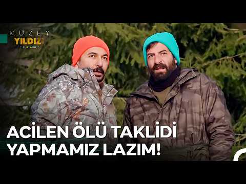 Ya Şerefli Bir Ayı Değilse? 😁 - Kuzey Yıldızı İlk Aşk