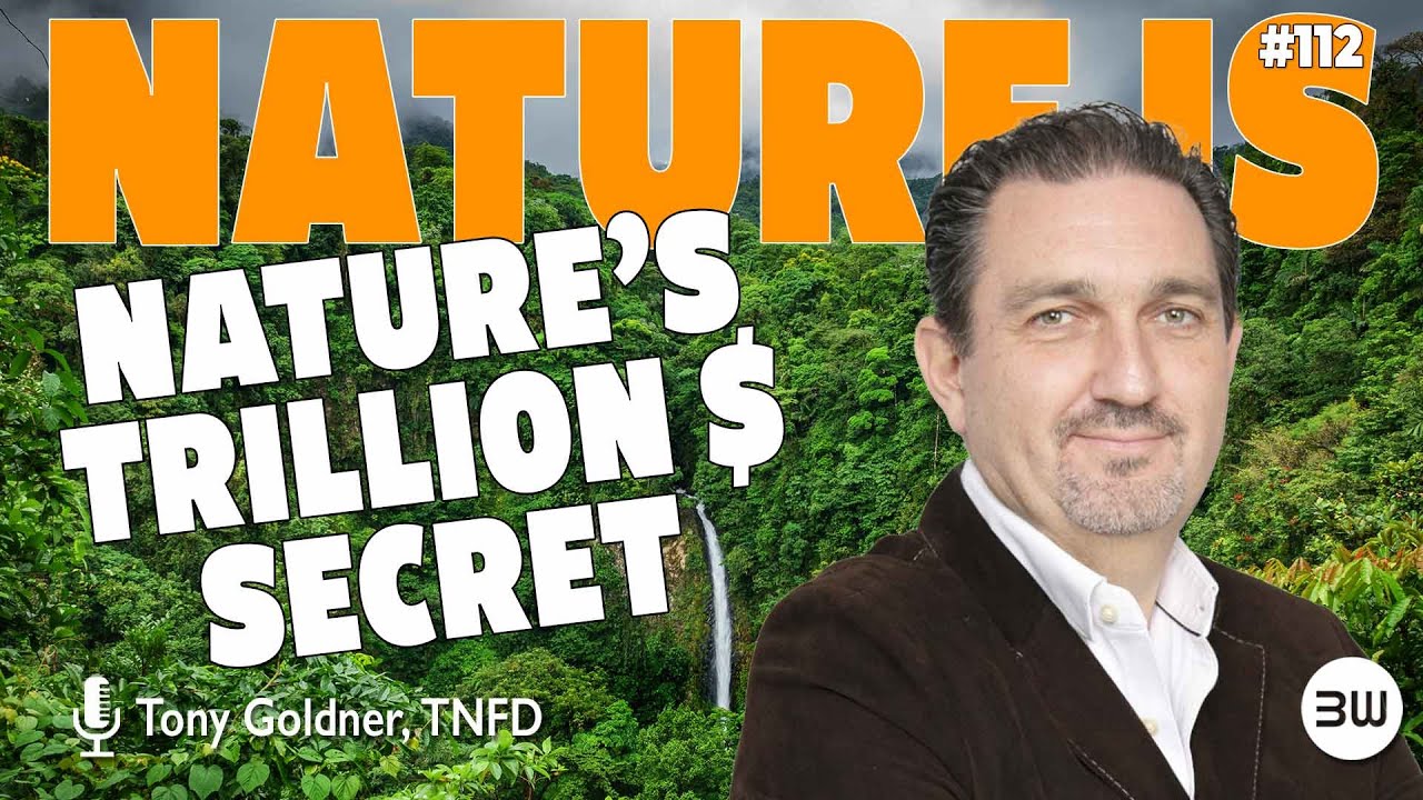 Nature's Bottom Line: How Biodiversity Shapes Business Resilience with ...