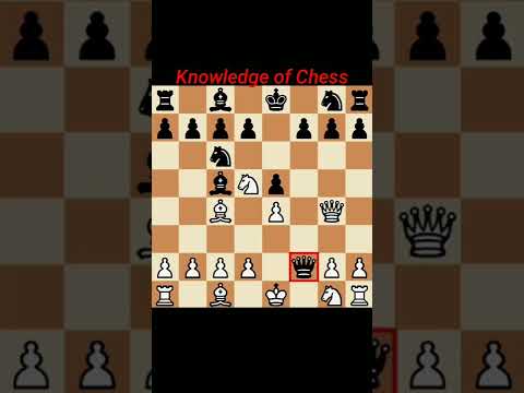 Queen Sacrifice 👑 ll Chess best game ll Chess Sacrifices - YouTube