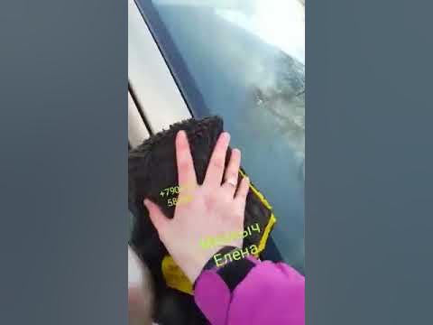 Авто салфетки Гринвей - YouTube