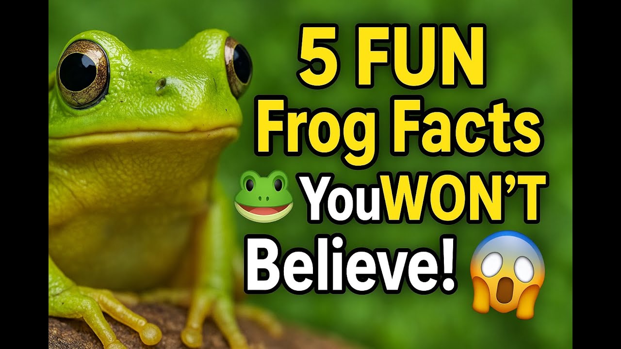 5 FUN Frog Facts You WON’T Believe! 🐸😱 - YouTube