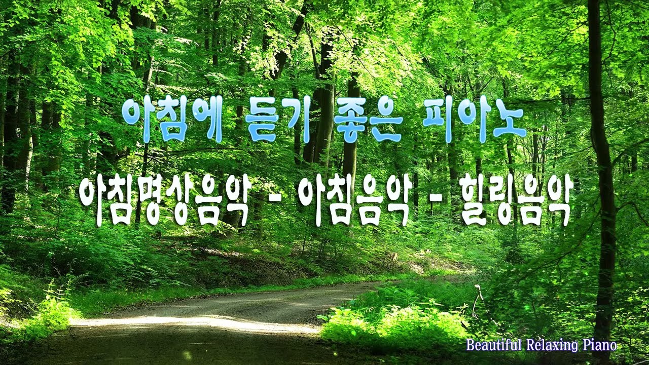 기분좋은 하루를 위한음악🌲밝은 아침을 위한 힐링음악🌲아침명상음악 아침음악 힐링음악 명상음악 스트레스해소음 음악