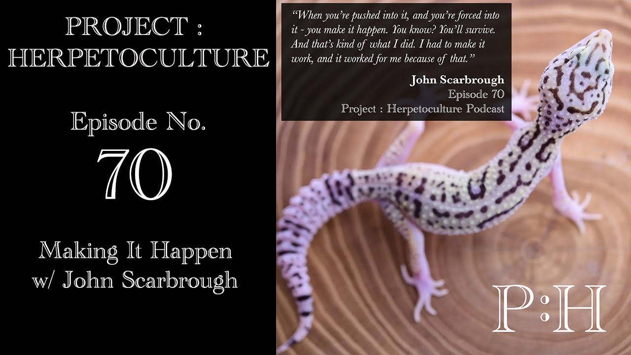Project: Herpetoculture, Episode No. 70: Making It Happen w/ John ...