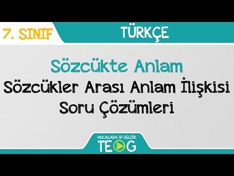 Sözcükte Anlam - Sözcükler Arası Anlam İlişkisi Soru Çözümleri