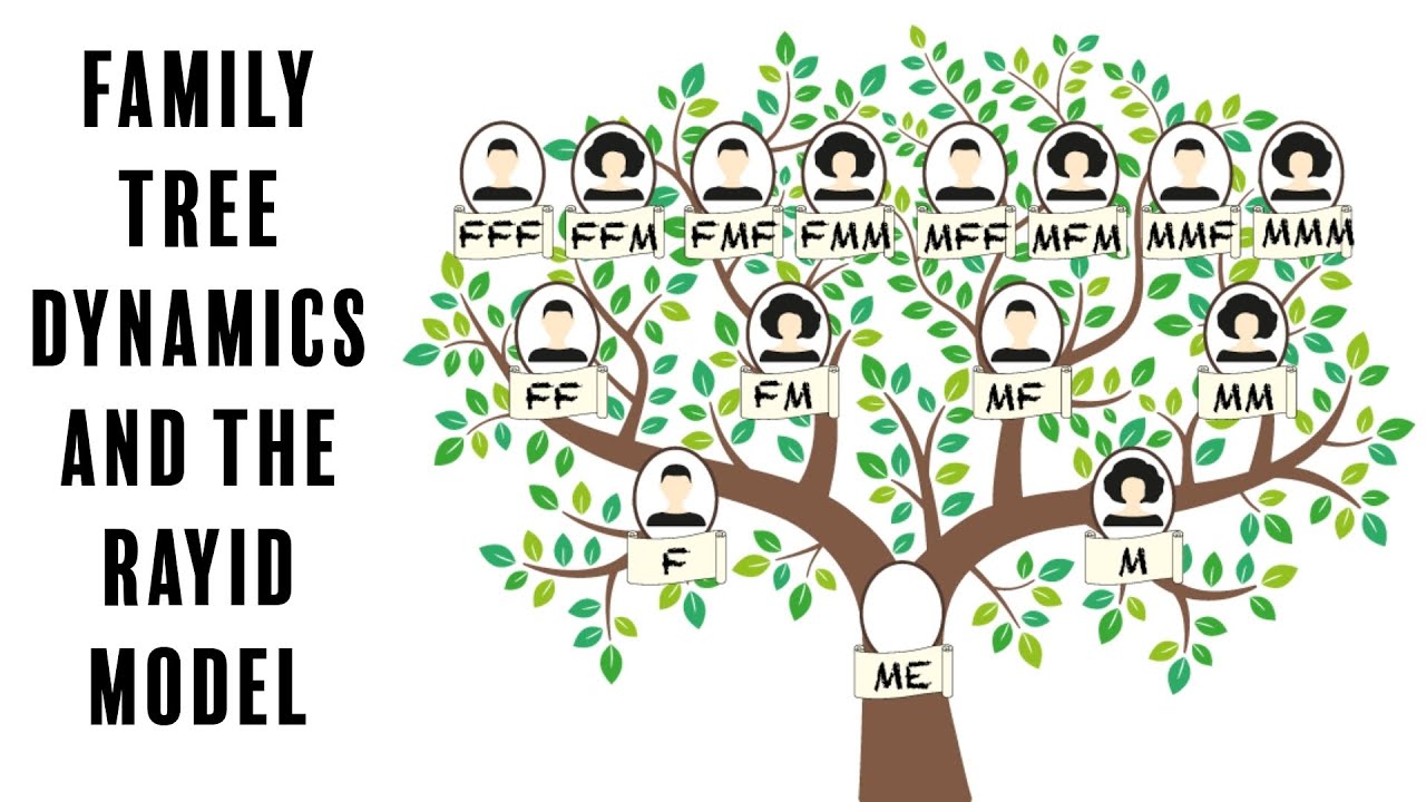 Family Tree Dynamics and the Rayid Model - YouTube