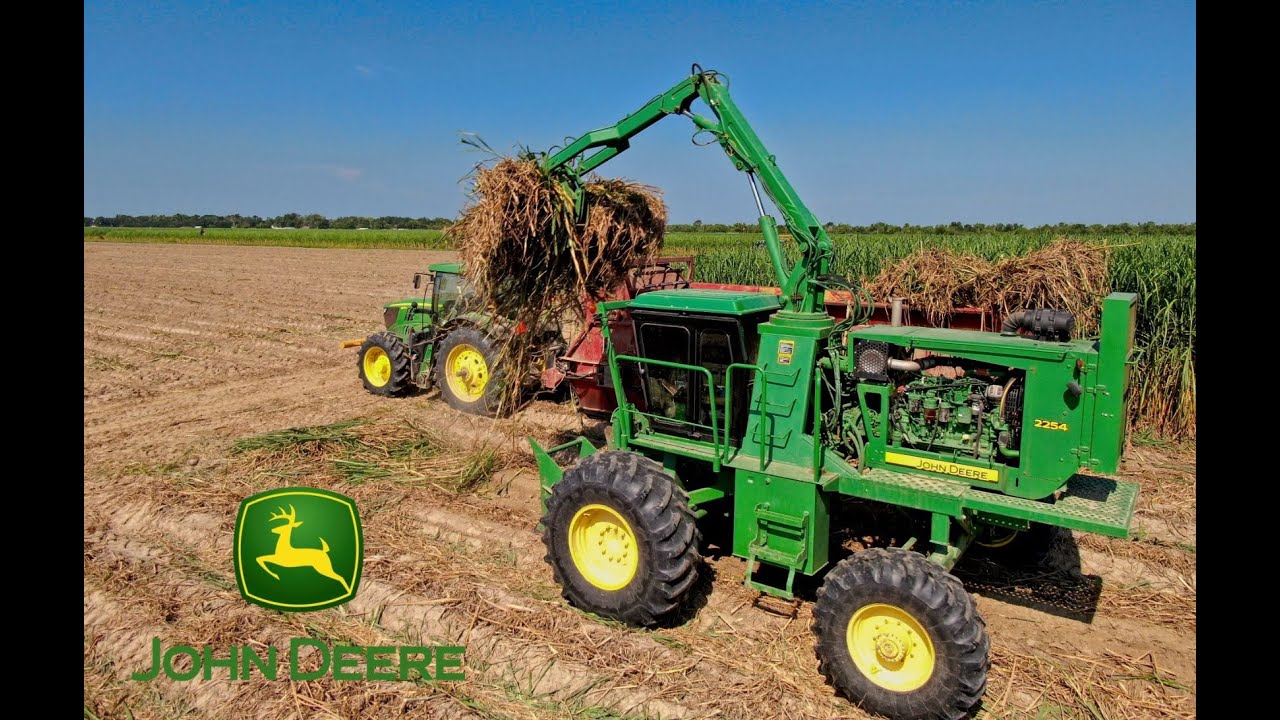 Loading Seed Sugar Cane with a John Deere 2254 Cane Loader 4K - YouTube