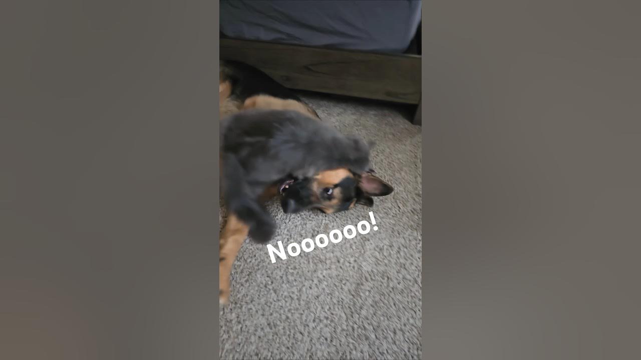 Ooh nooo! He got me! - YouTube