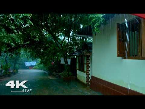 Walking Through a Beautiful Rainy Landscape 🌧️🌿 | 4K ASMR Rain Walk for Sleep & Meditation