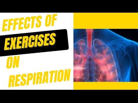 EFFECTS OF EXERCISES ON RESPIRATION/RESPIRATORY SYSTEM ...