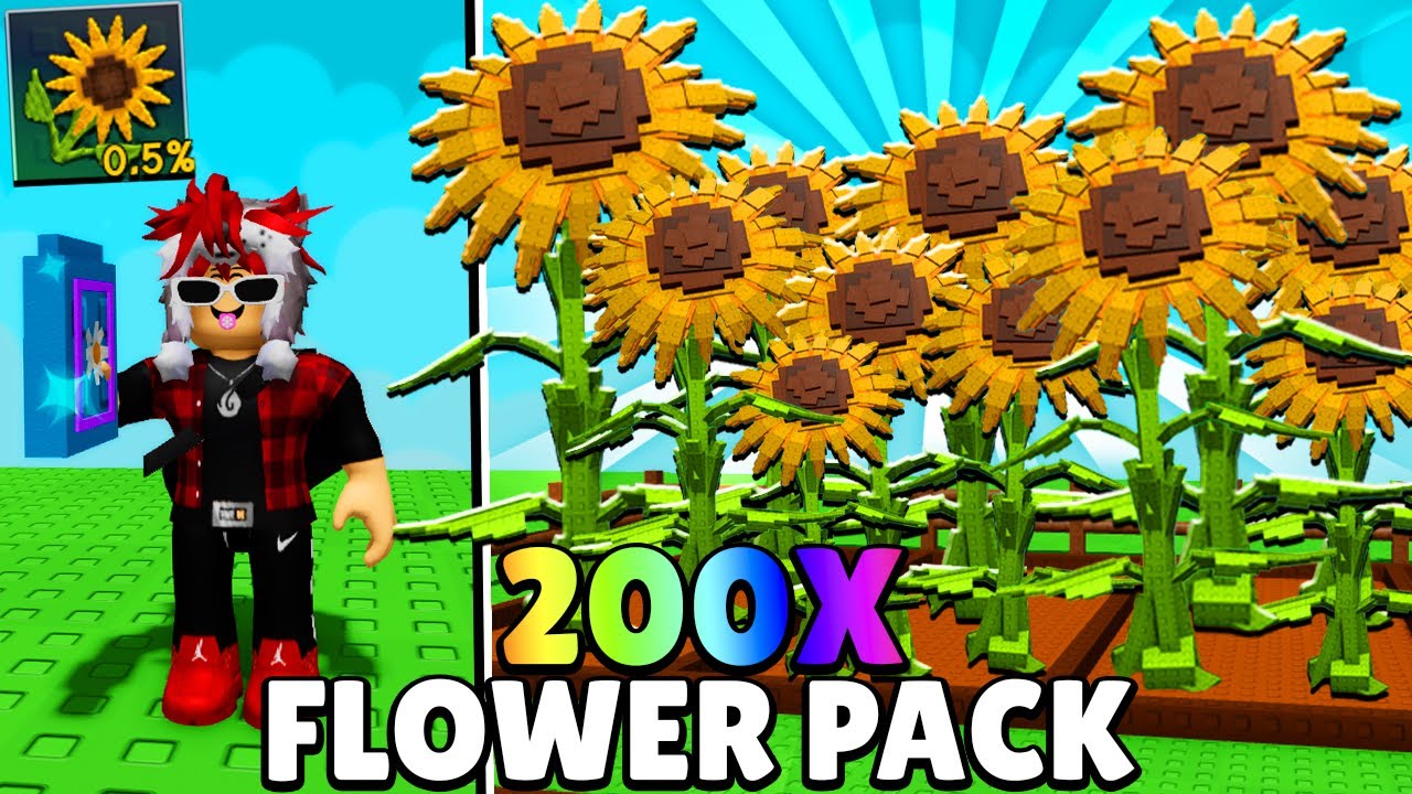 ABRI 200x do NOVO PACK de FLOWERS de GIRASSOL e FIZ O JARDIM INTEIRO no ...