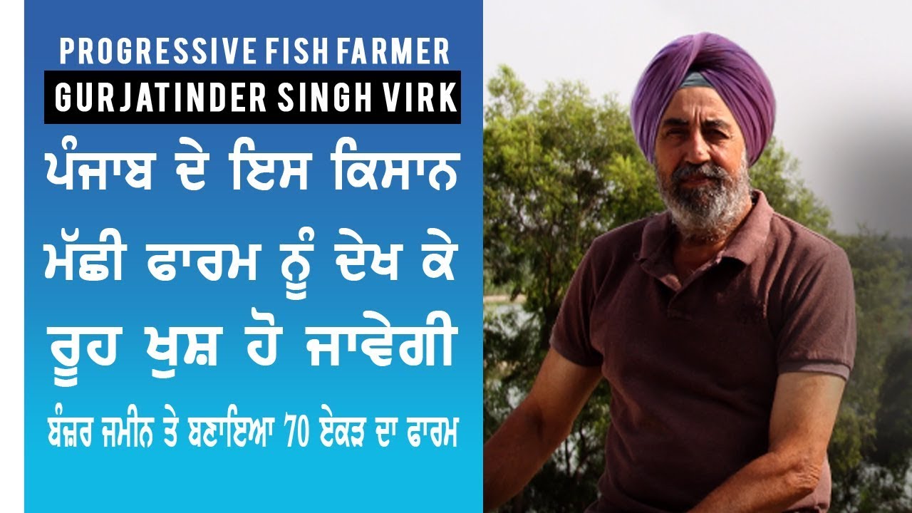 Beautiful fish farm in Punjab- Micky's Fish Farm - YouTube