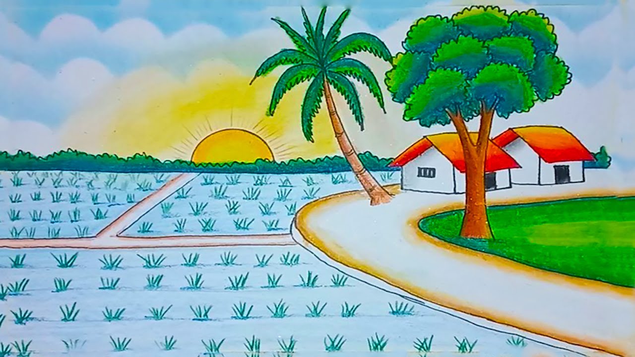 How to Draw Sunset With Oil Pastel || Drawing Rice Fields in the ...