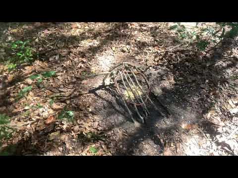Snare Trap For Turkey’s - YouTube