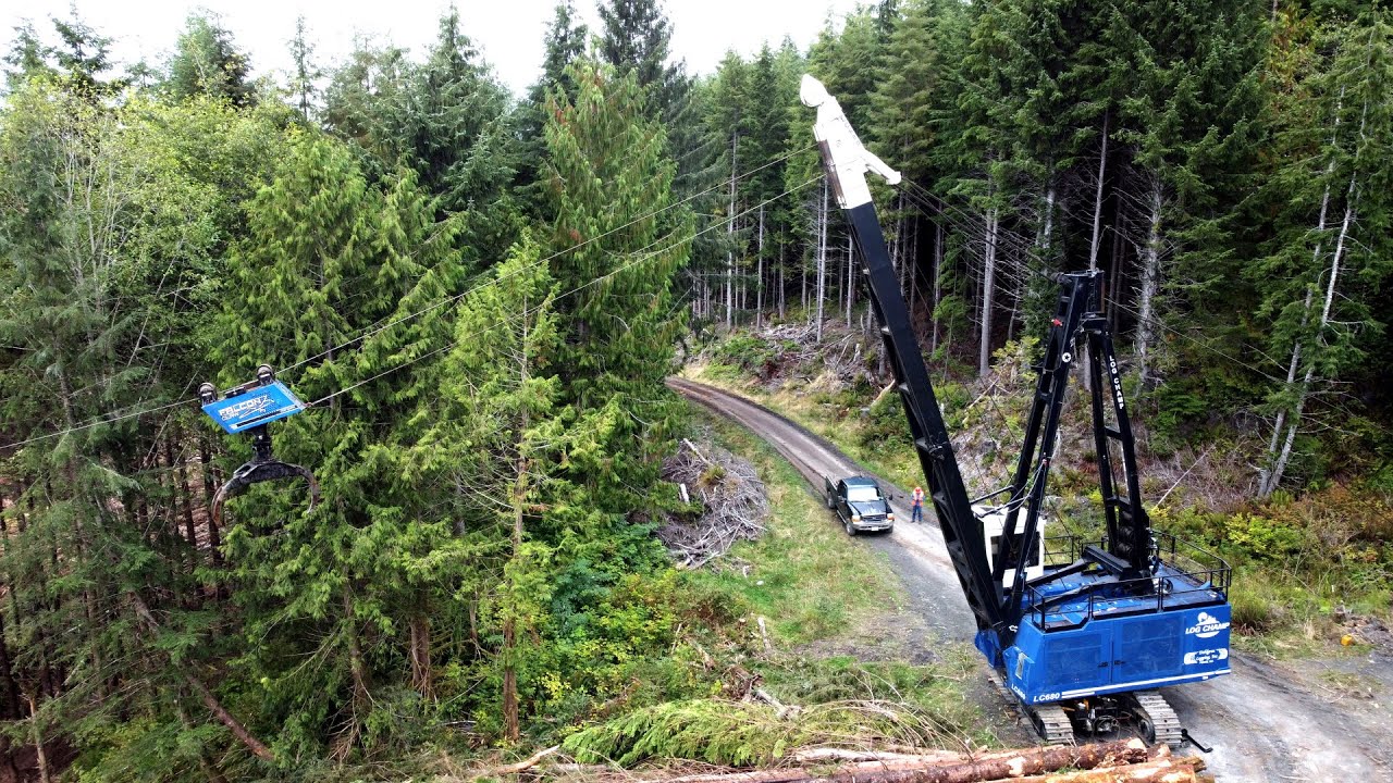 LogChamp 680 Logging with Falcon Carriage - YouTube