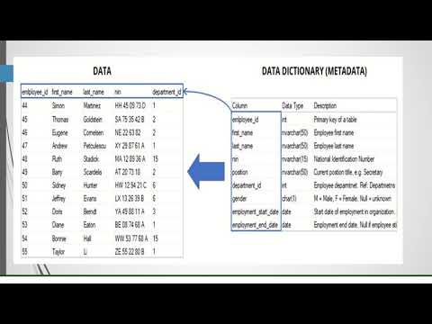 Data dictionary and constraints with domain level and referential ...
