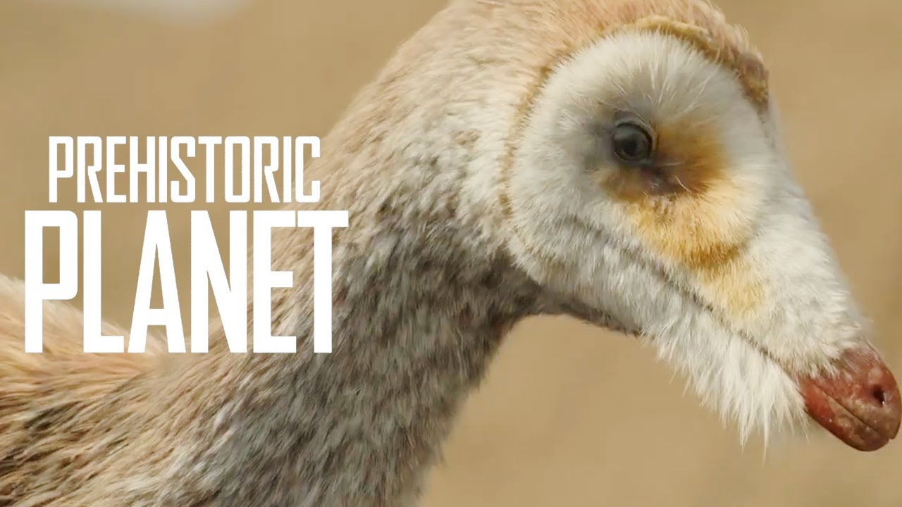 MONONYKUS GOES HUNTING! Prehistoric Planet - New Mononykus Clip - YouTube