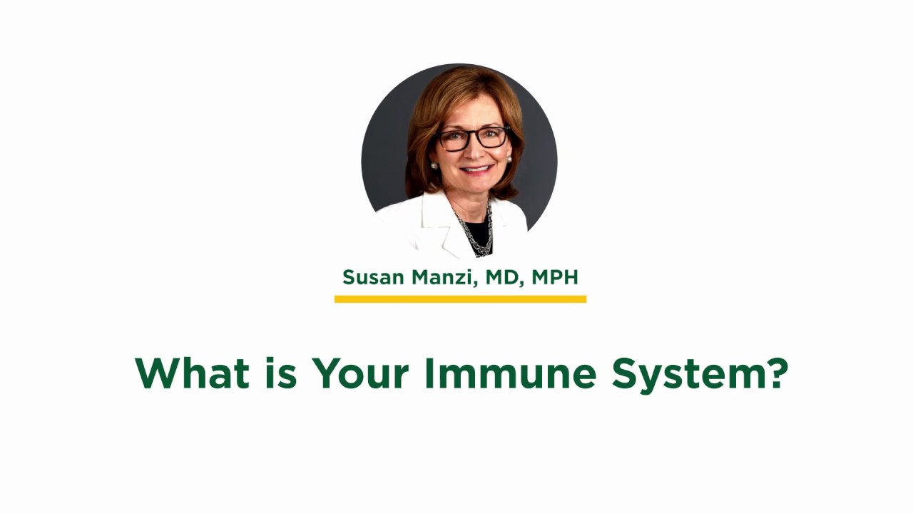 Dr. Susan Manzi of AHN: The Immune System - YouTube