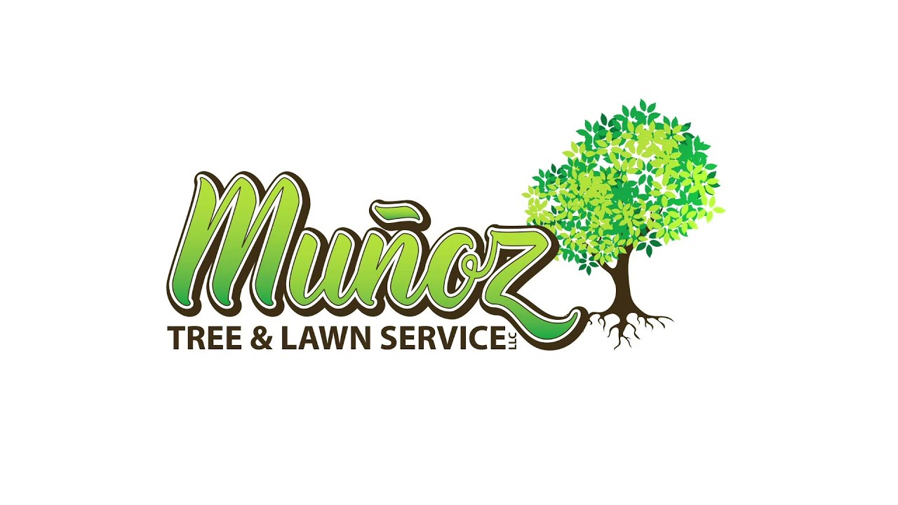 Munoz Tree & Lawn Service - YouTube