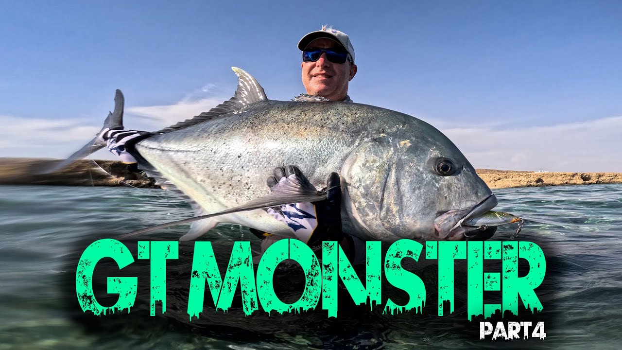 GT MONSTER | RED SEA | EL MEJOR DESTINO DEL MUNDO | GT POPPING ...