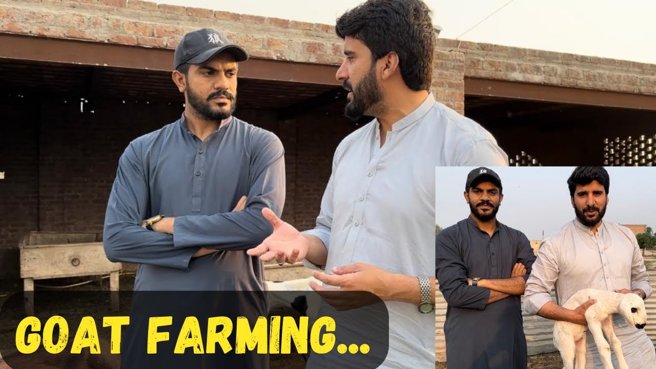 Goat Farming Setup | Our Goat Farm Tour | Urban Farmers - YouTube