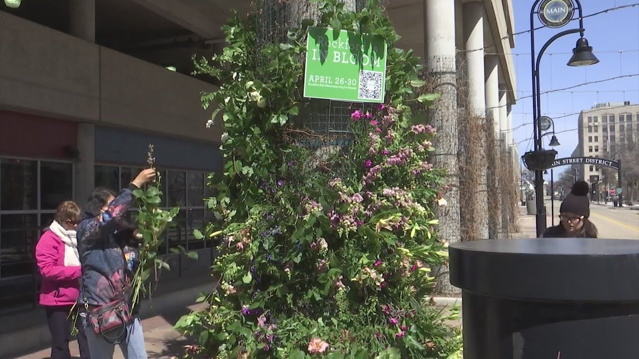 Did you see the 'flower bomb' outside the RACVB this morning? - YouTube