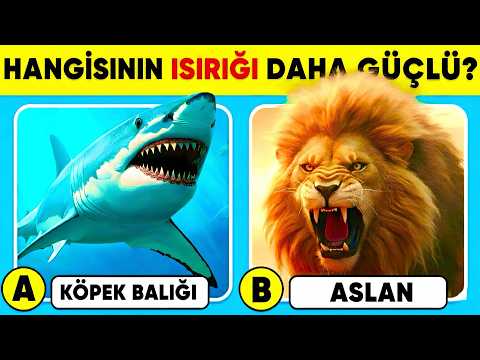 🧠 HAYVANLAR Hakkında Ne Kadar Bilginiz Var? 🐯🦁✅ Genel Bilgi Yarışma Testi