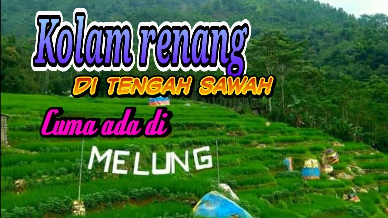 Desa melung (kolam renang ditengah sawah ) pagubugan melung - YouTube
